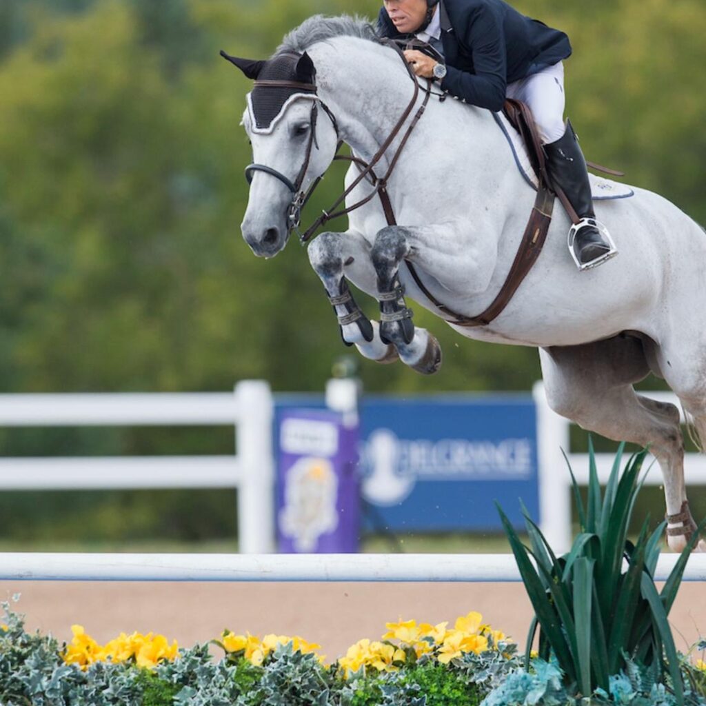 About Us – Green Haven Stables